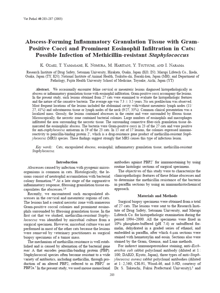 Ozaki Et Al 2003 Abscess Forming Inflammatory Granulation Tissue With ...