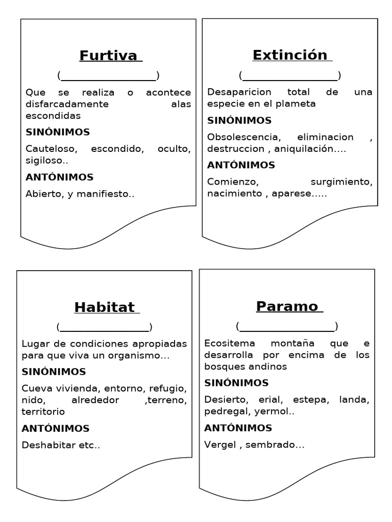 Ficha Comun Sinónimos | PDF