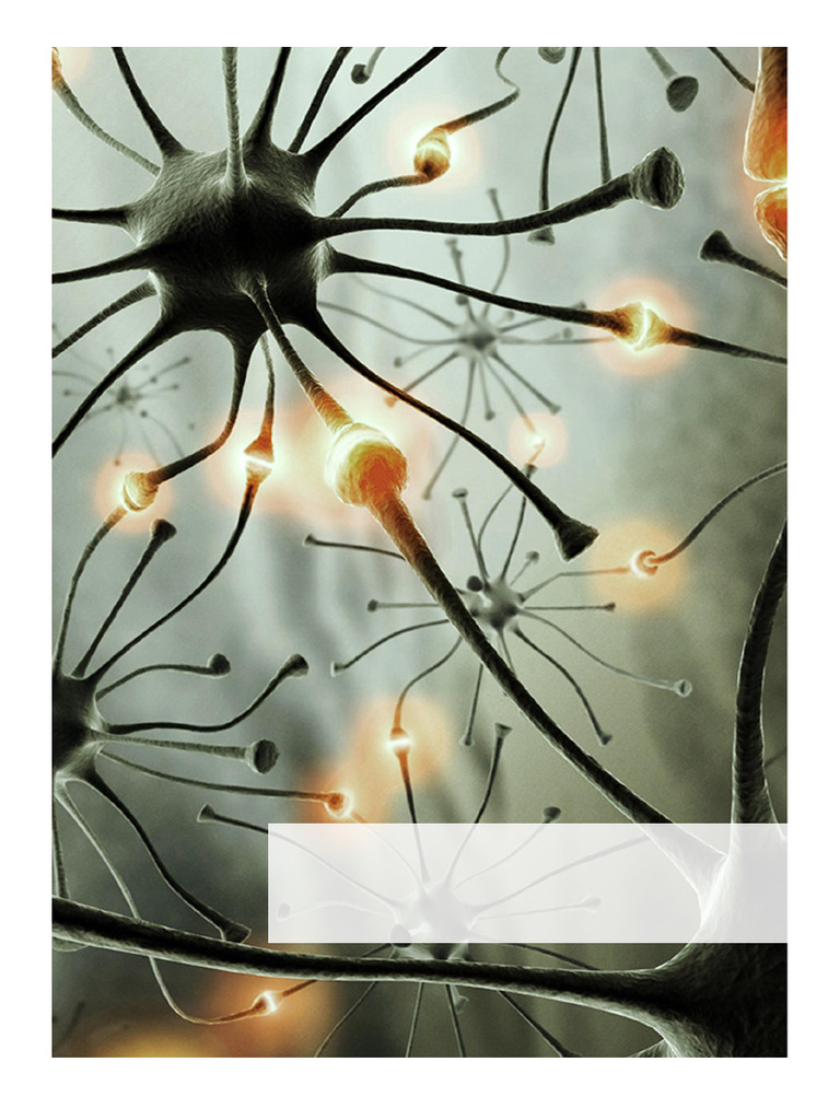 Understanding Memory in Neuroscience | PDF | Memory | Recall (Memory)