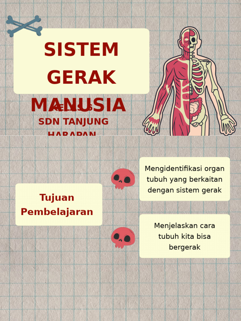 Organ Gerak Manusia Presentasi Materi Abu Abu Merah Coklat Biru Nude ...
