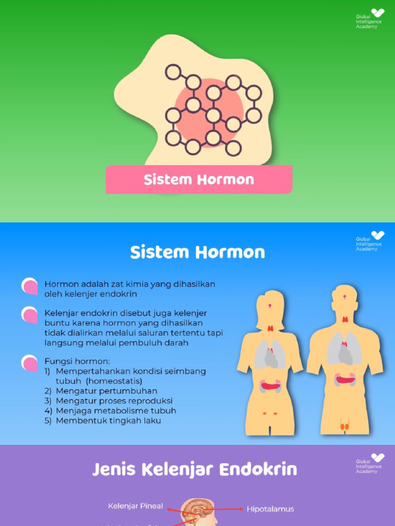 Sistem Hormon | PDF