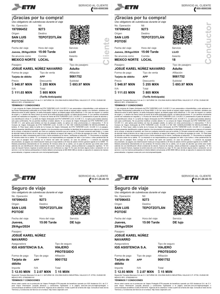 Boleto s | PDF | Documento de identidad | Pasajero