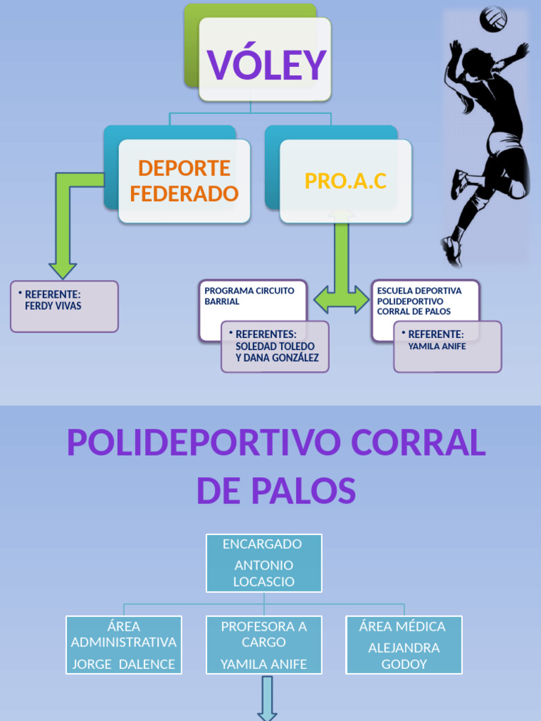 Proyecto Yami | PDF | Vóleibol | Cognición
