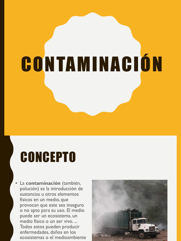 Temario III Parcial IA 2024 | PDF | Contaminación | Eutrofización