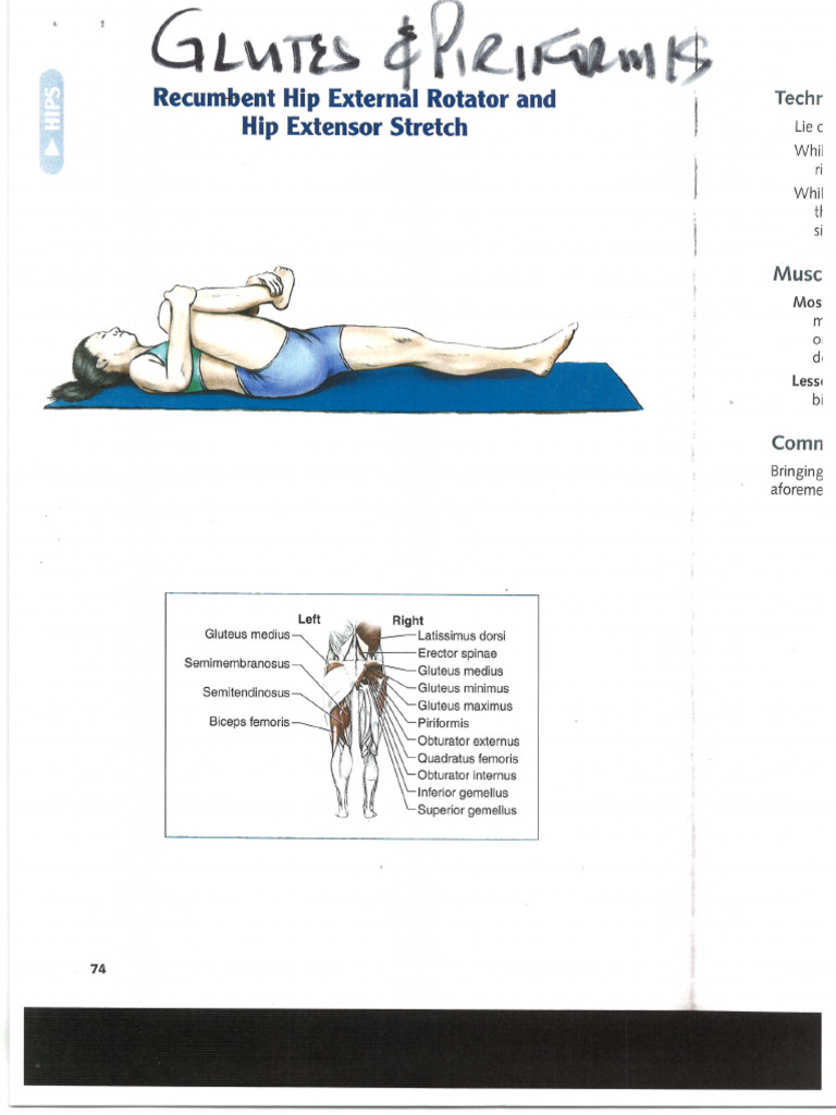 Glutes and Hamstring Stretch 1 | PDF