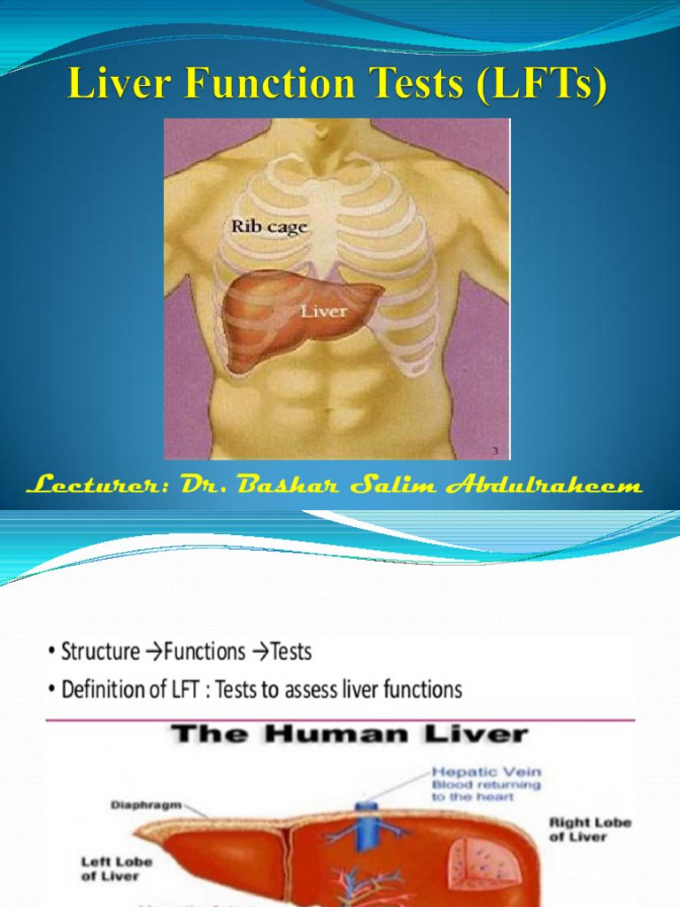 liver_function_tests (1) | PDF | Liver | Alanine Transaminase