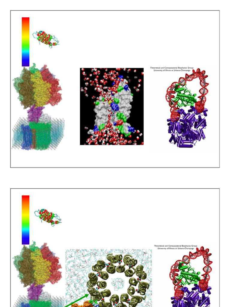 Day2a_MD_intro | PDF | Solvation | Molecular Dynamics