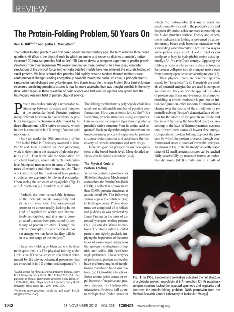 Ken Dill Folding Science.1219021 | PDF | Protein Folding | Proteins