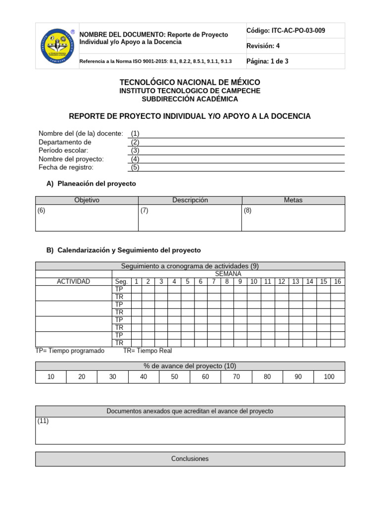 Reporte de Proy Indv | PDF