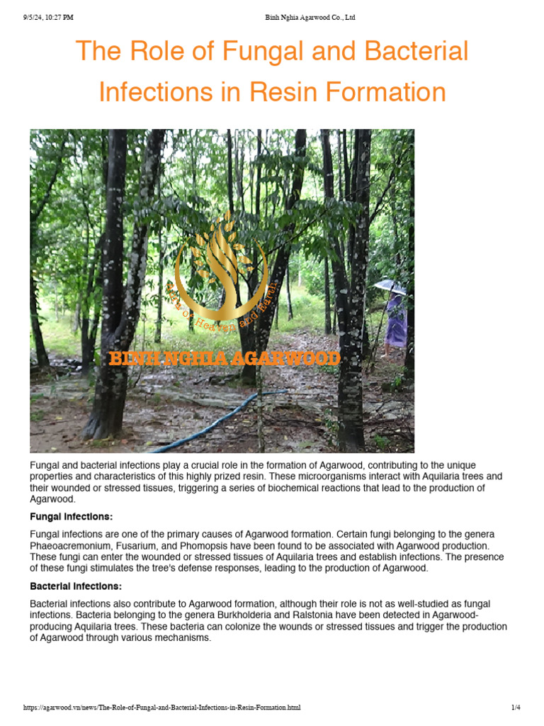 The Role of Fungal and Bacterial Infections in Resin Formation | PDF ...
