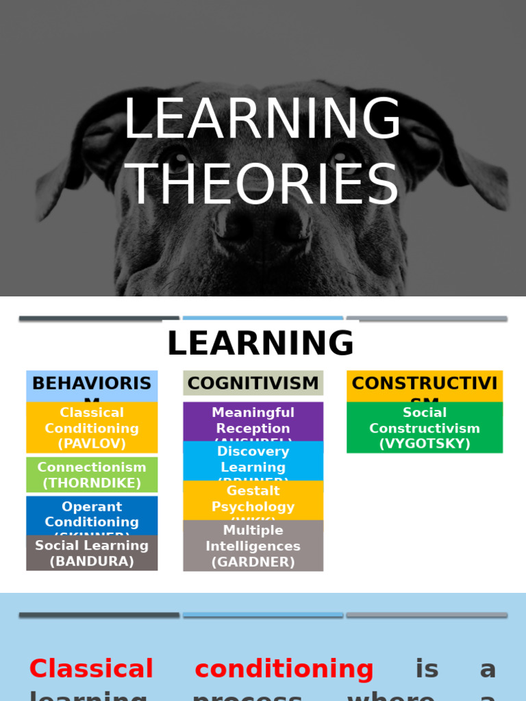 Learning Theories | PDF | Learning | Behaviorism