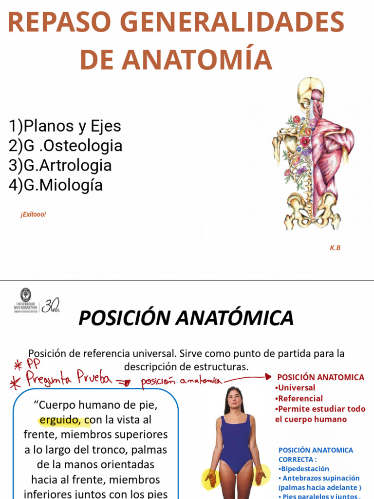 Repaso Generalidades de Anatomia Morfo 1 | PDF | Articulación | Hueso