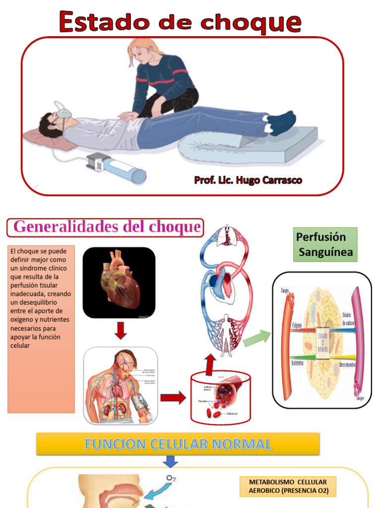 Estado de Choque: Fisiopatología y Tratamiento | PDF | Septicemia ...