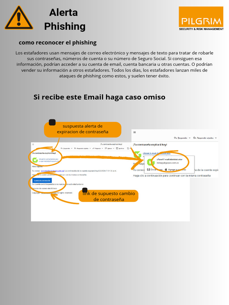 Alerta Phishing | PDF