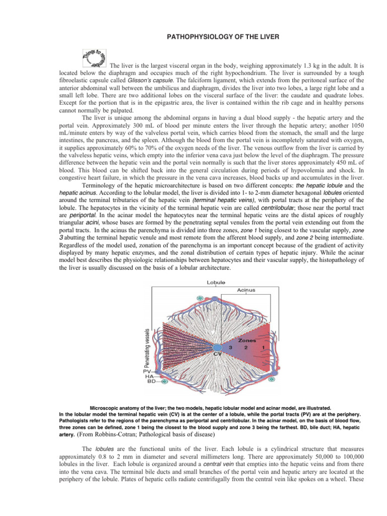Viii. Pathophysiology of The Liver | PDF