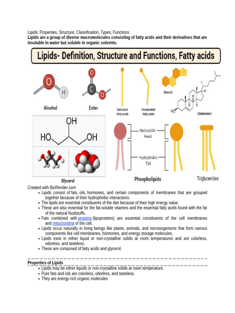 Lipids | PDF | Lipid | Fatty Acid