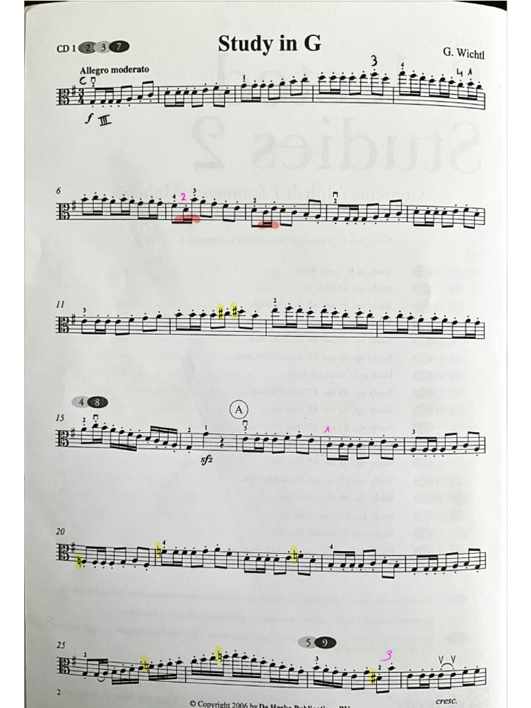 Study in G Wichtl viola | PDF