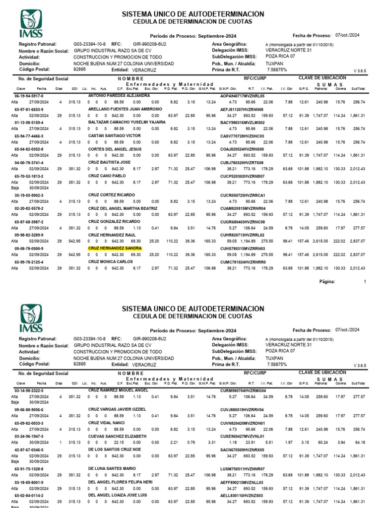 Cedula Sua 19.11 | PDF