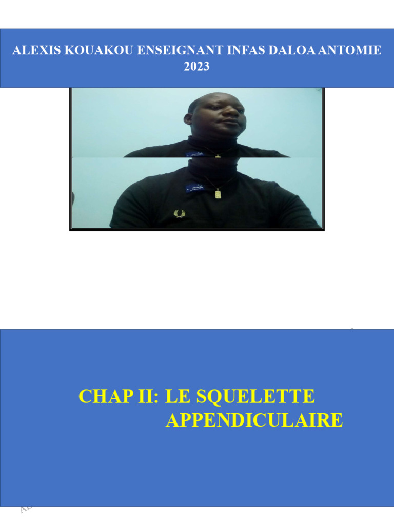 Anatomie du Squelette Appendiculaire | PDF | Pied | Membres (anatomie)