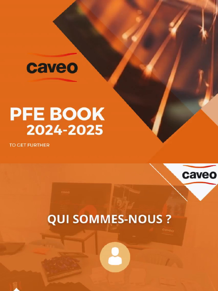 Pfe Book 2024-2025 Caveo Automotive | PDF