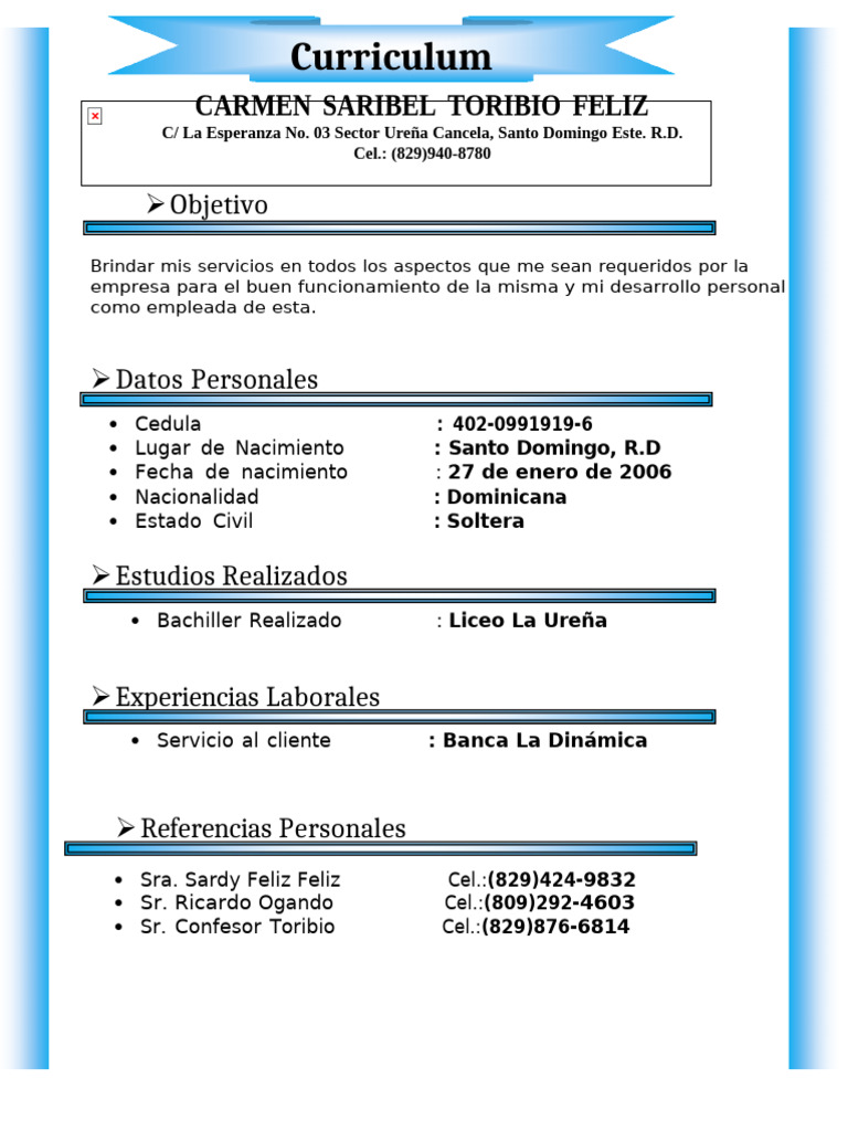Curriculum CARMEN SARIBEL TORIBIO FELIZ | PDF