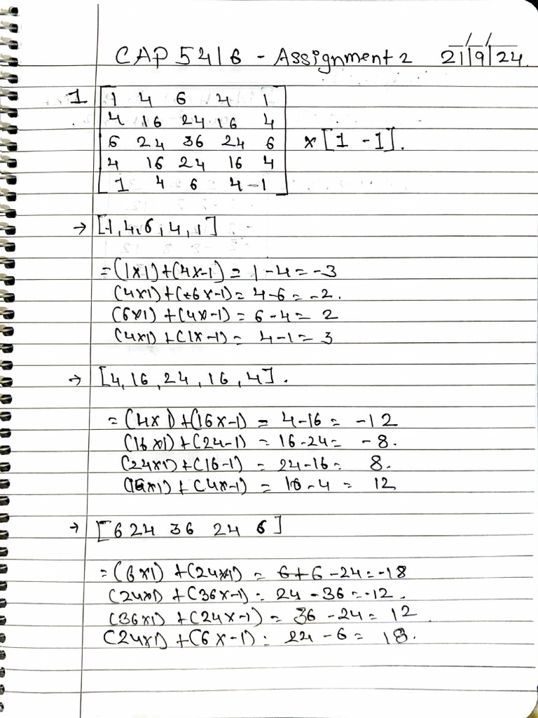 CAP 5416 Assignment 2 Written | PDF
