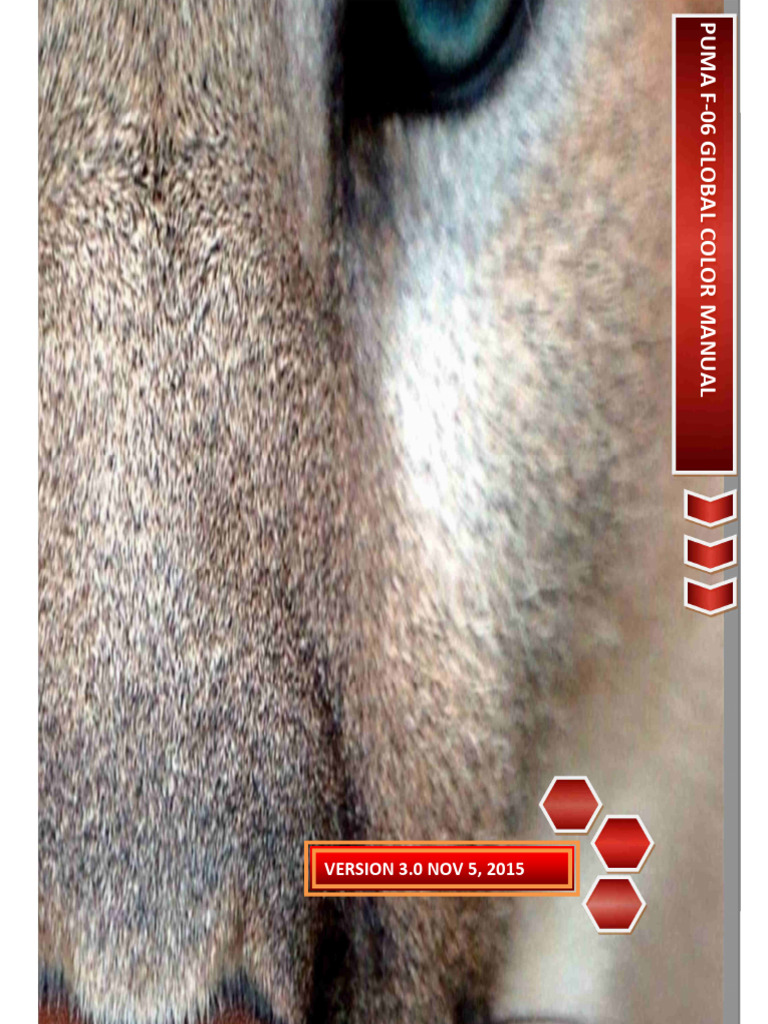 Puma Global Color Manual V3.0 Guide | PDF | Color | Calibration