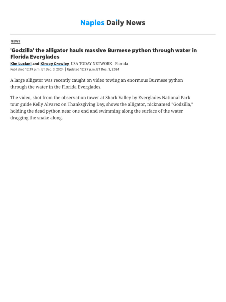 Florida Alligator Tows Colossal Python Through Everglades Water_ Video ...