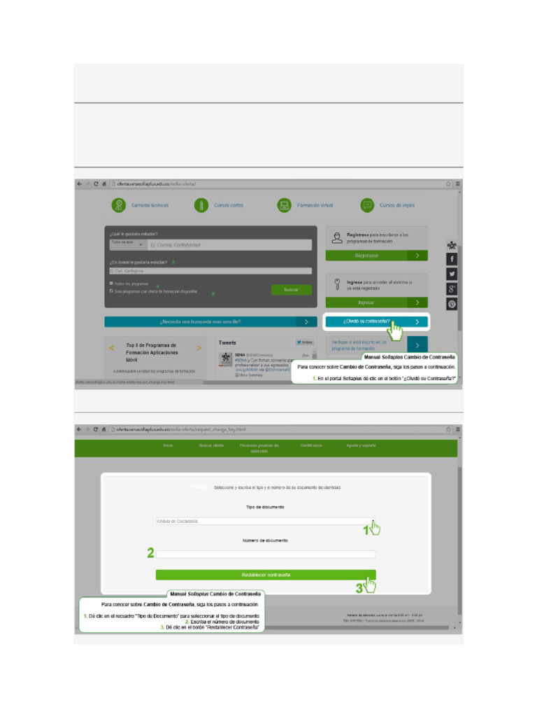 Guías Cambio de Contraseña | PDF