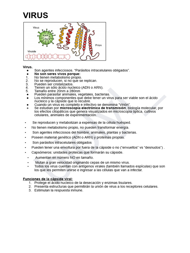 Virus | PDF | Virus | Biología Celular)