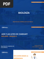 Reglas de Chargaff en ADN | PDF