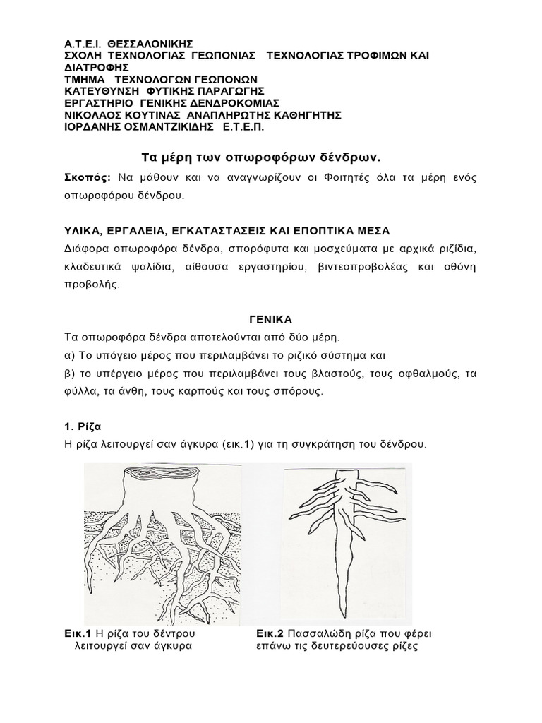 Τα μέρη των οπωροφόρων δένδρων-ΔΙΠΑΕ | PDF