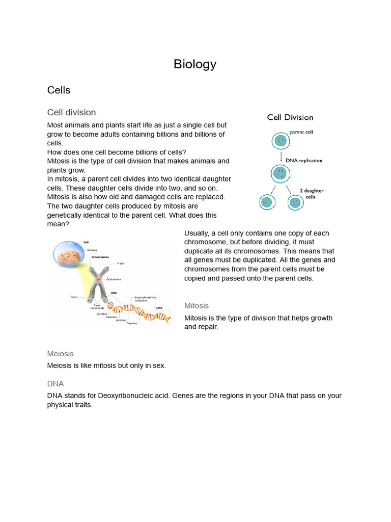 Biology Year 8 Notes | PDF | Flowers | Heart