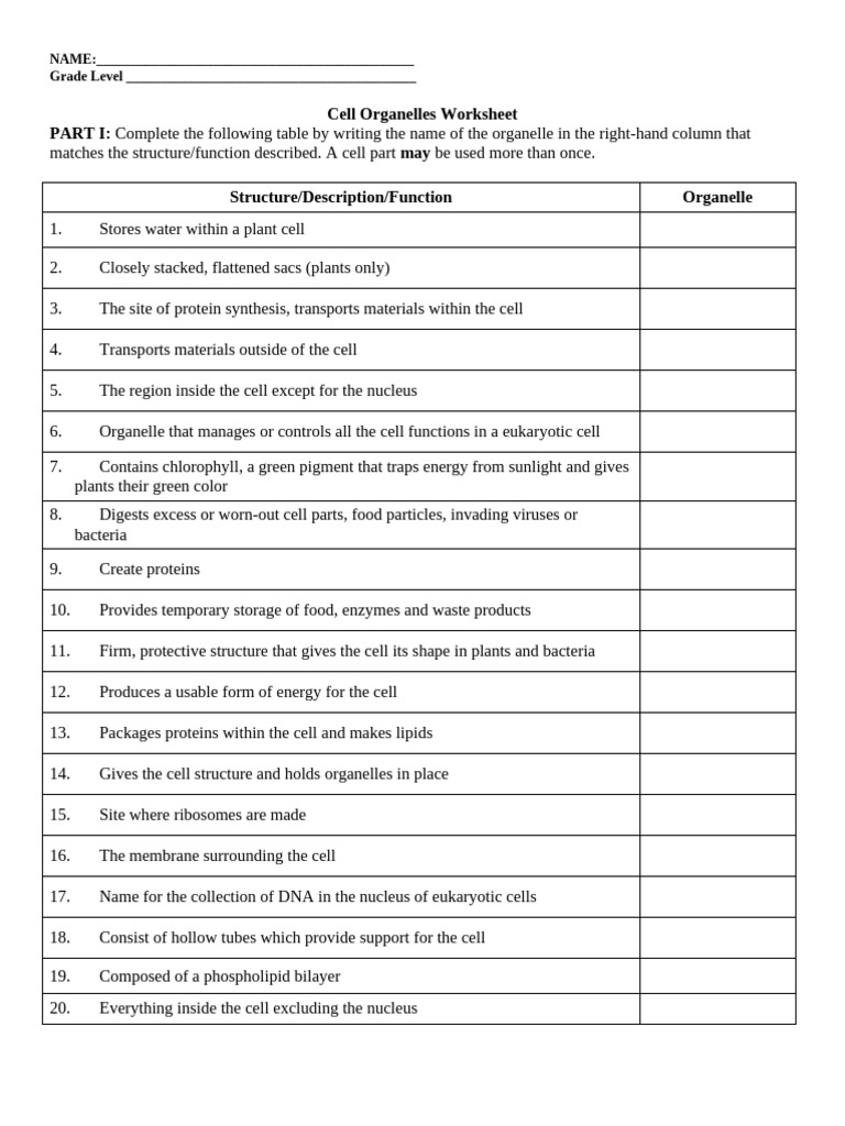 Cell Organelle Review Worksheet 14 15 2 | PDF