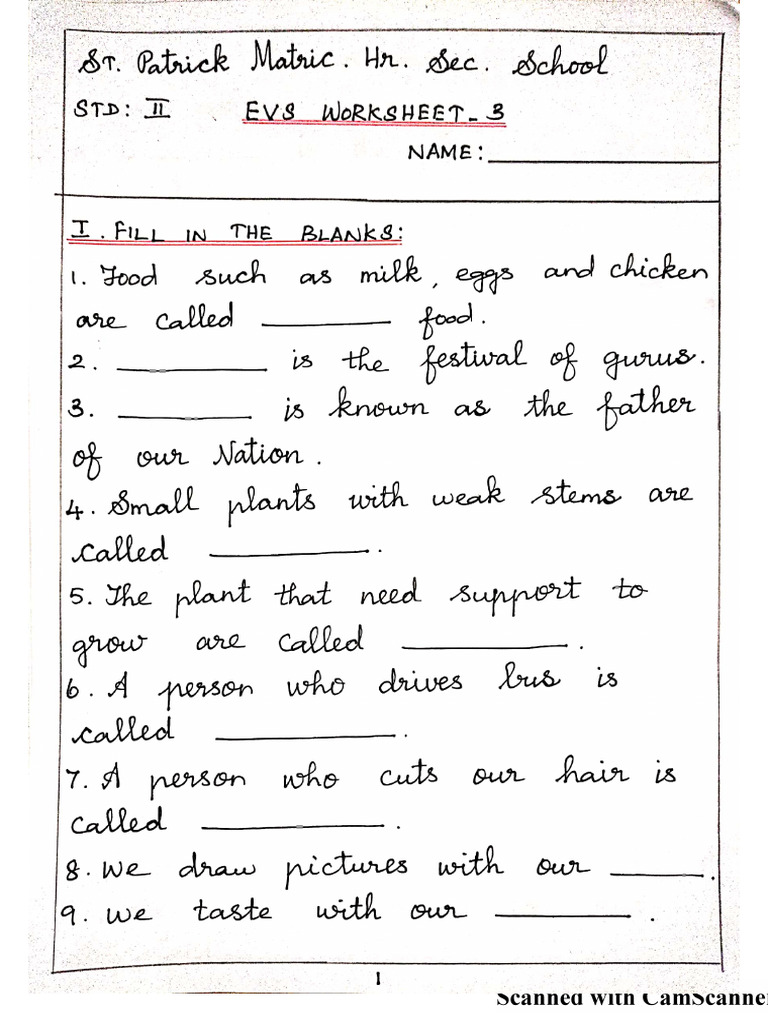 Evs Worksheet Pdf