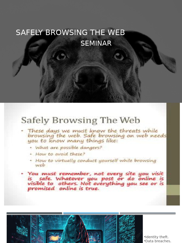 Safely Browsing The Web | PDF