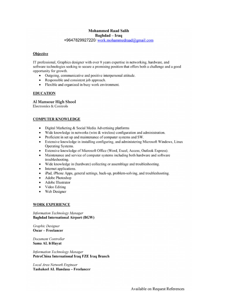 CV & Work Exp | PDF