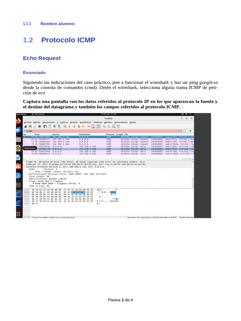 Icmp Ubuntu | PDF