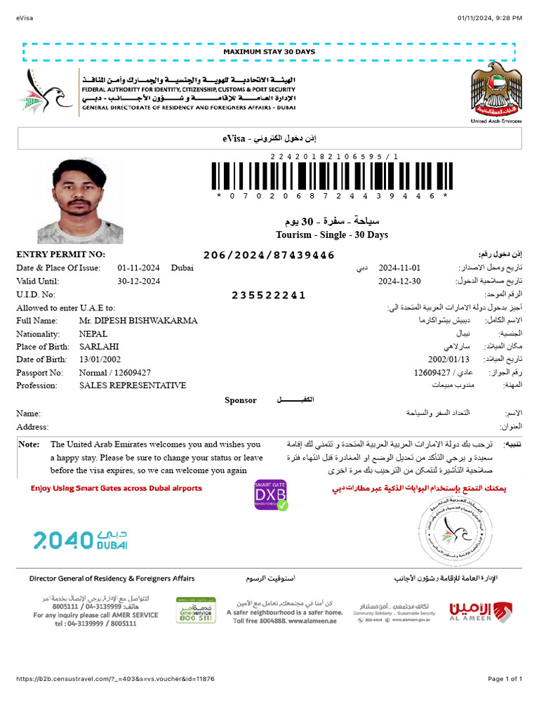 dipesh bishwakarma , eVisa | PDF | Travel Visa | Human Migration