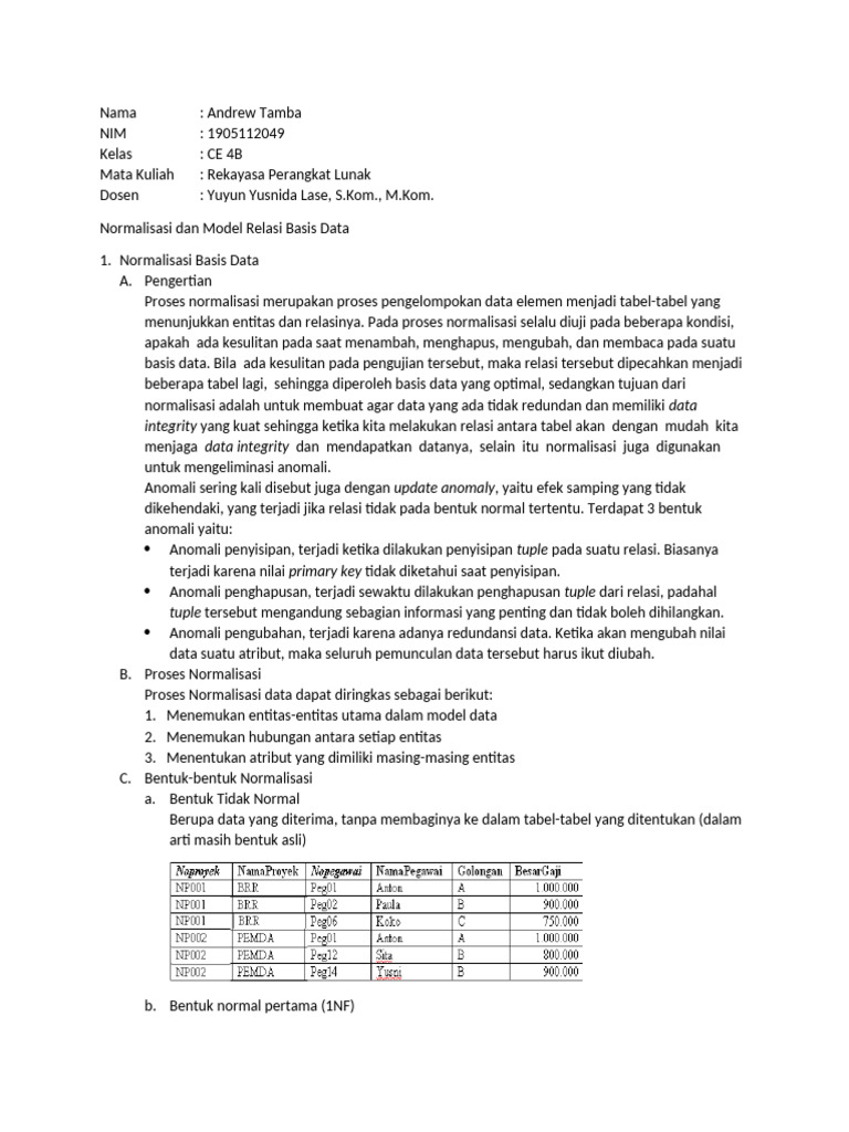 RPL Normalisasi Dan Model Relasi Basis Data | PDF