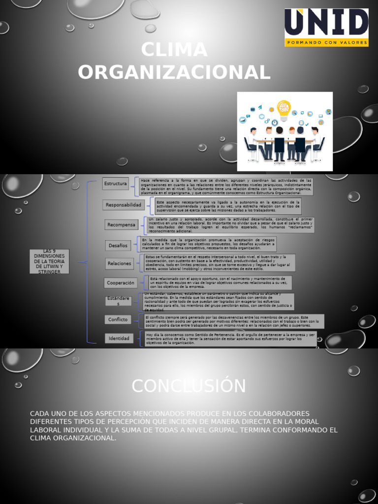Cuadro Sinoptico Las 9 Dimensiones de La Teoria de Litwin y Stringer | PDF | Psicología Social ...
