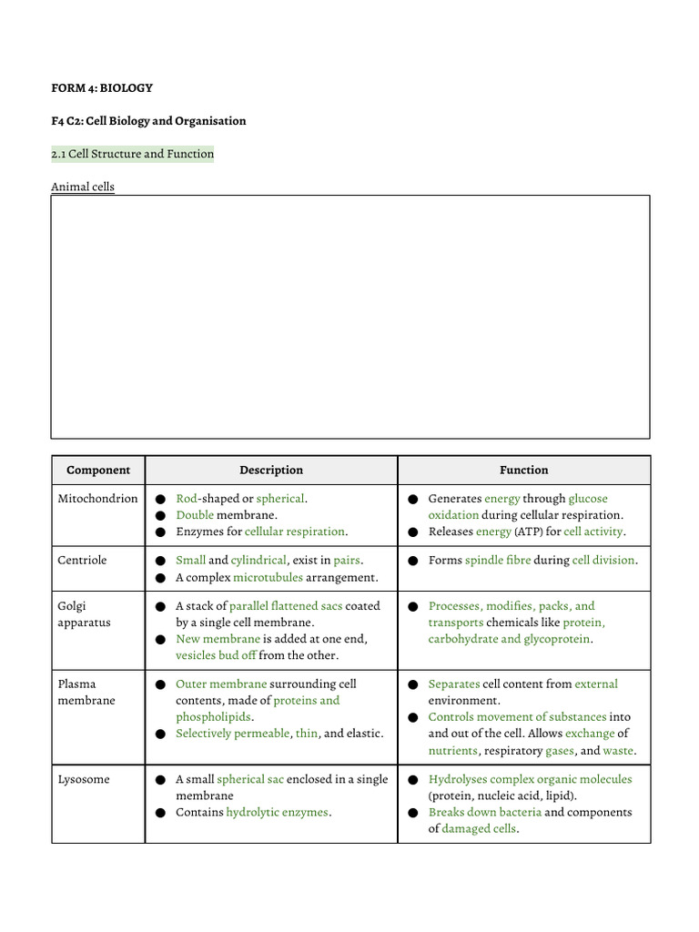 f4 Biology | PDF | Meiosis | Tissue (Biology)