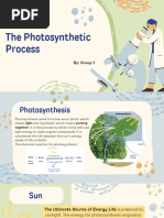 Photosynthesis: Key Concepts & Processes | PDF | Photosynthesis ...