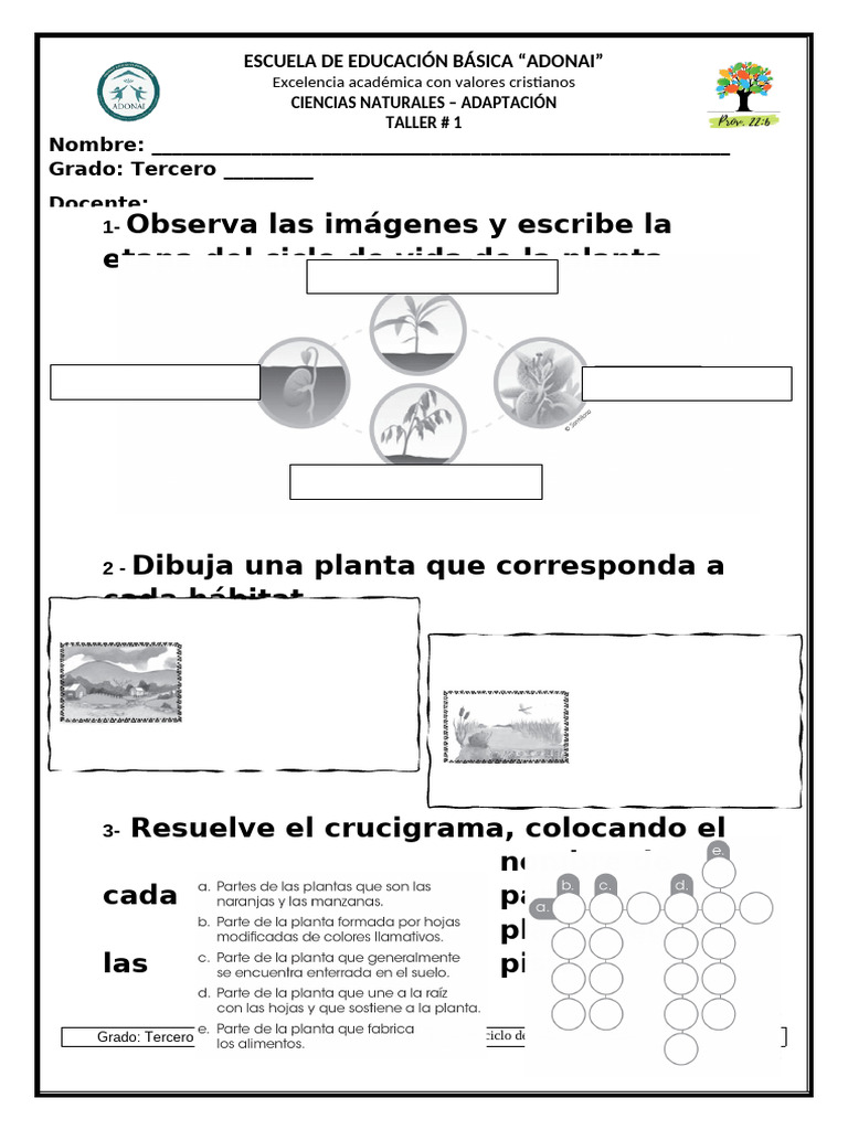 Ciclo de Vida de Una Planta | PDF