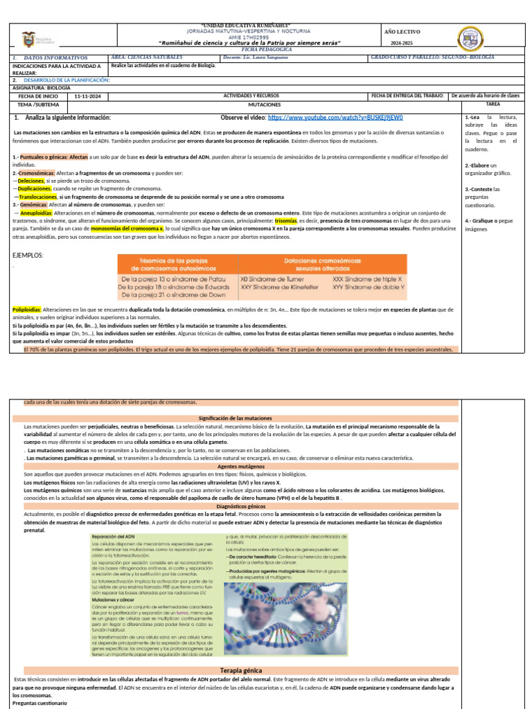 7 Mutaciones 24 25 | PDF | Mutación | Mutageno