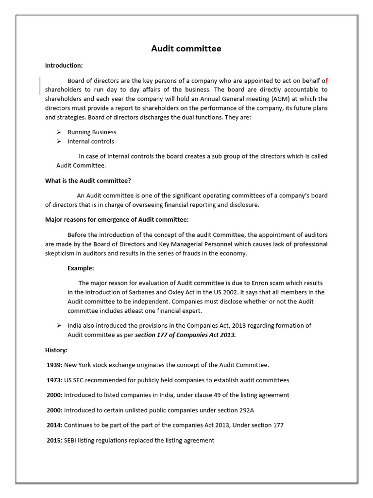 Audit-committee | PDF | Audit Committee | Audit