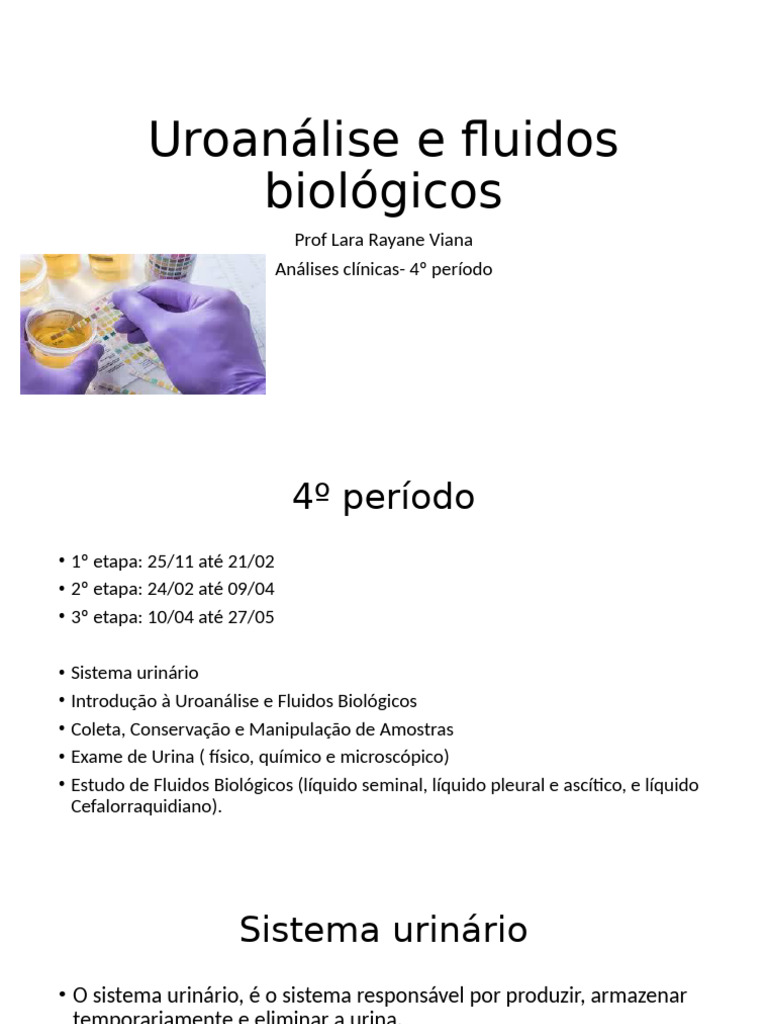 Uroanálise e Fluidos Biológicos-SISTEMA URINARIO | PDF | Micção ...