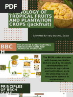 BBCH Scale: A Global Phenology Tool | PDF | Cucurbita | Cabbage