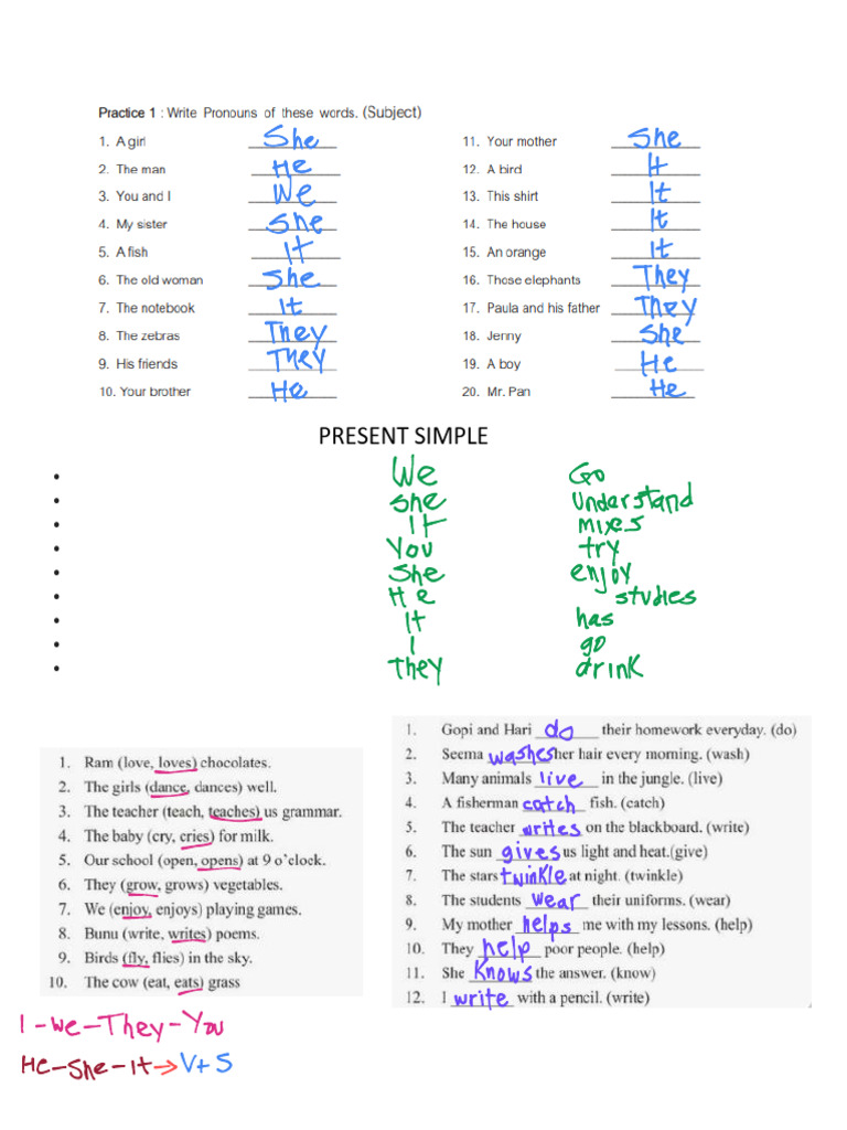 PRESENT SIMPLE exercises | PDF