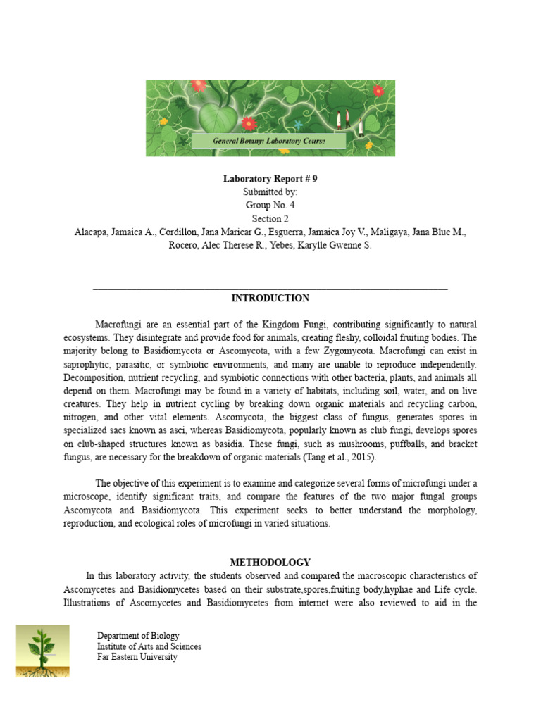 Lab #9 Group 4_Section 2 | PDF | Fungus | Mycology